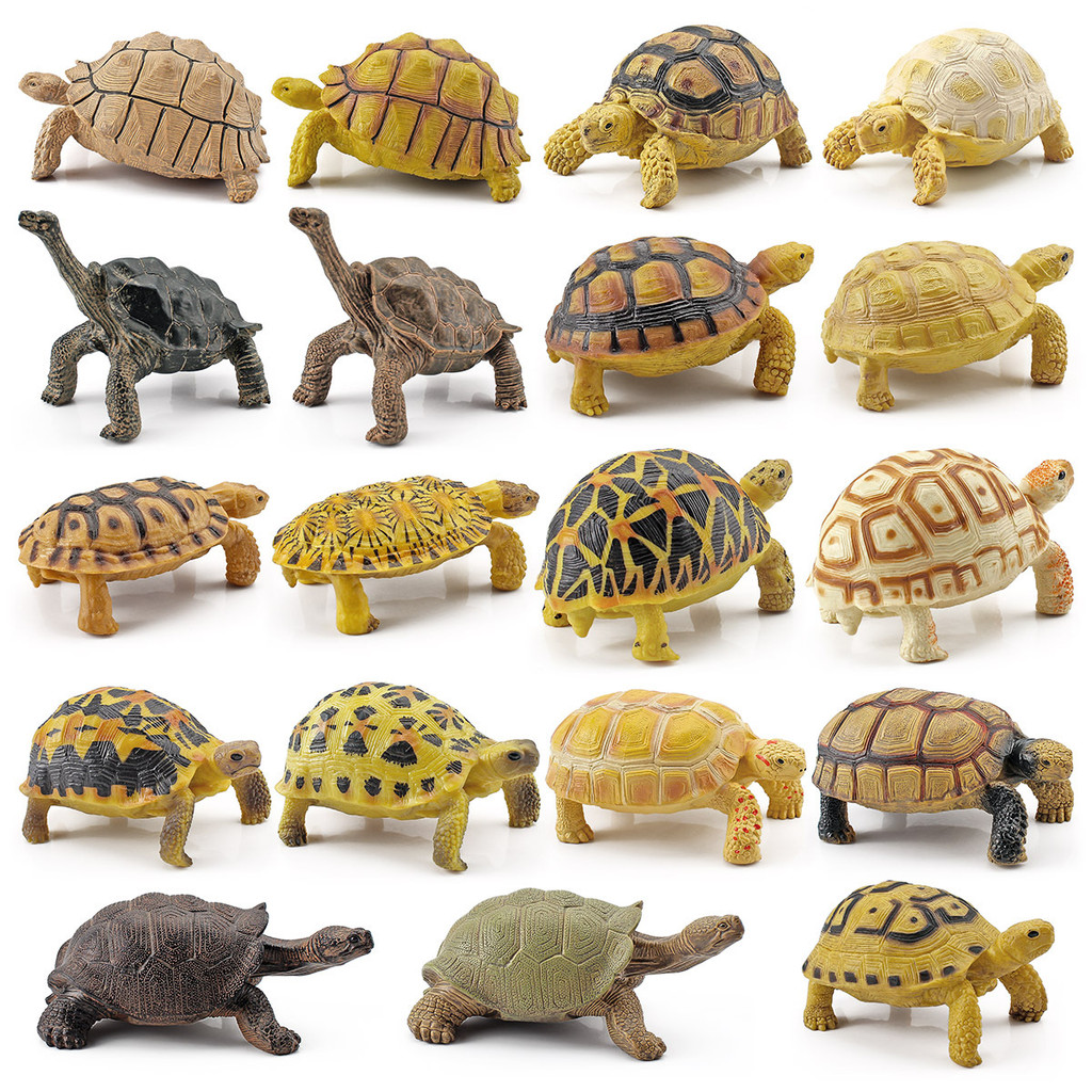 Simulation Amphibious Reptile Model Tortoise Tortoise Star Tortoise ...