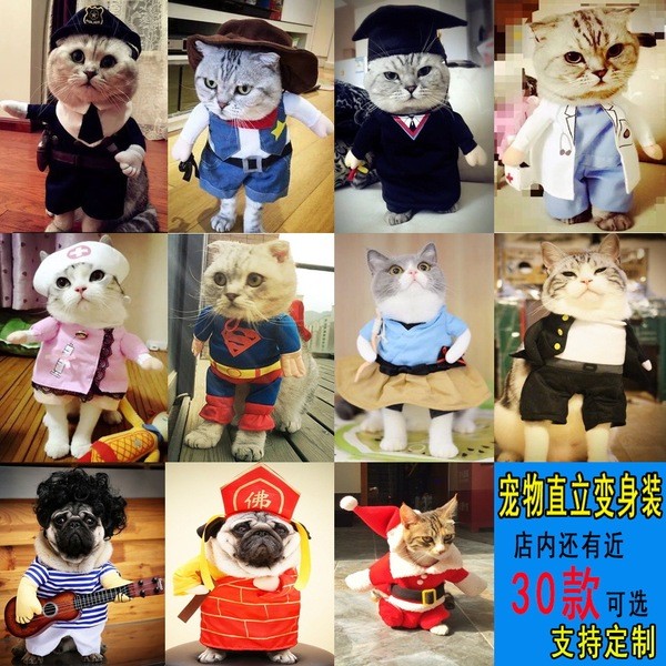 baju kucing jantan comel kucing baju kucing betina Pakaian transformasi ...