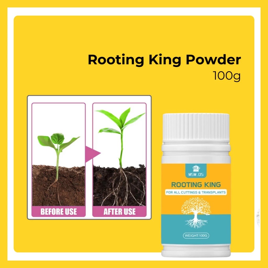 Rooting King Powder - New generation fertilizer, power for plants ...