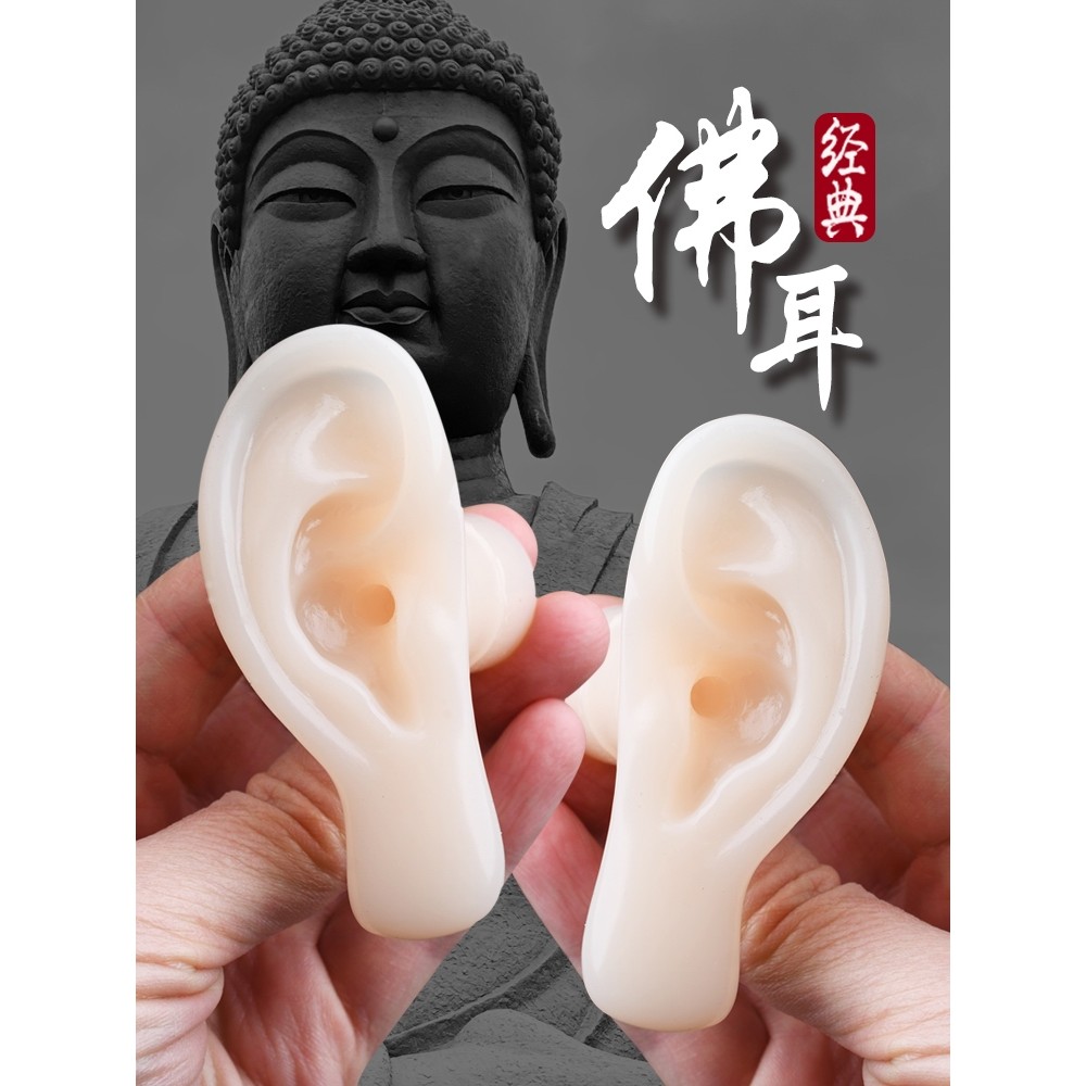 Tianyi Ear Picking Teaching Model Simulation Human Ear Soft Silicone ...