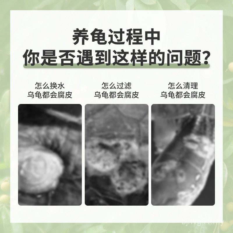 Longan Leaf Raising Turtle Brazilian Turtle Prevent Corrosion Skin ...
