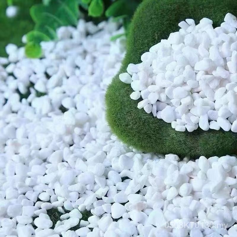 Courtyard Shop Road Garden Small White Catty Stone Pebble White ...