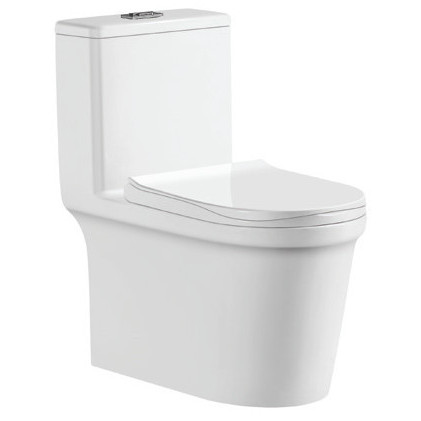Saniware One Piece WC Toilet Bowl S-Trap Wash Down Water Closet 10 Inch ...