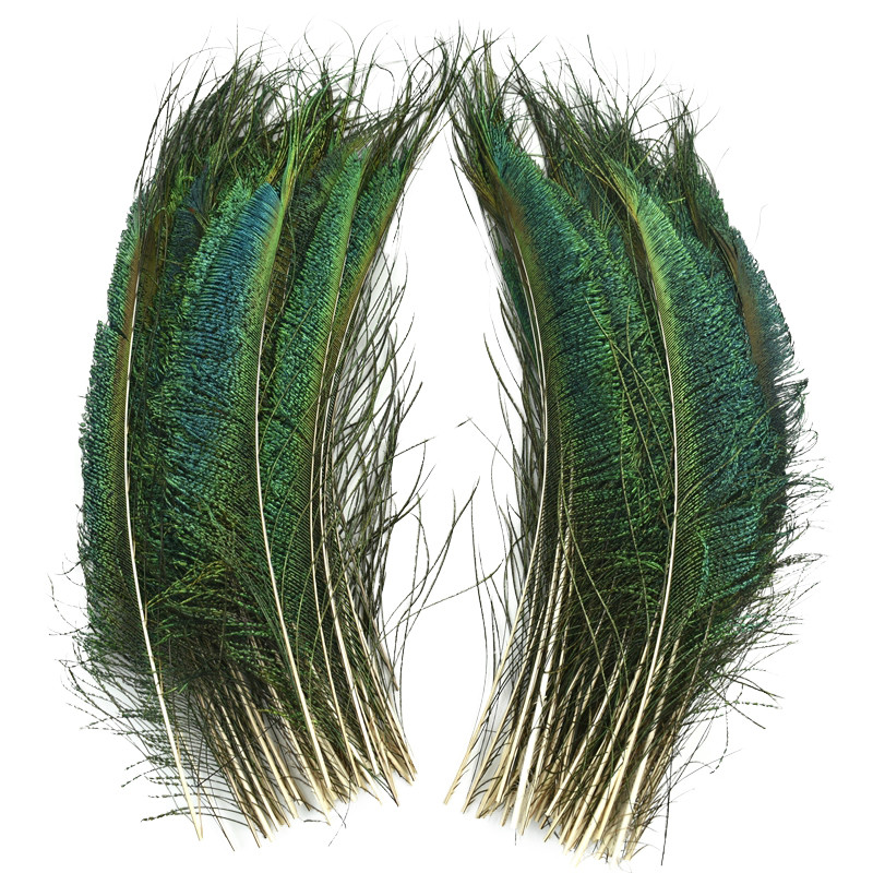 10Pcs/Lot Natural Real Peacock Feathers for Decoration Wholesale hats ...