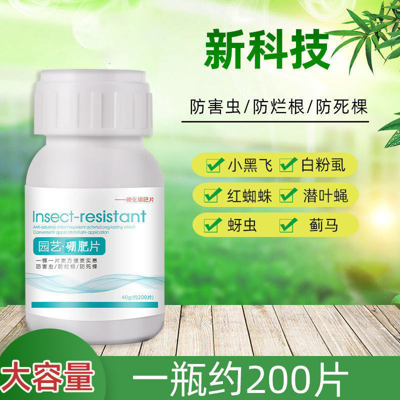 Today's Premium Product/Home Gardening Insect-Proof Tablets Anti-Small ...