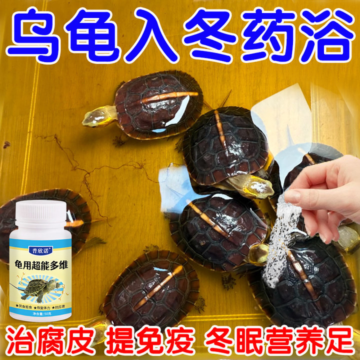 Turtles Use Electrolyzed Multi-Dimensional Anorexic Refuse Eating ...