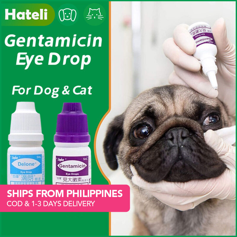 Gentamicin Eye Drops For Pets Cat and Dogs and Eye Infection Remove ...