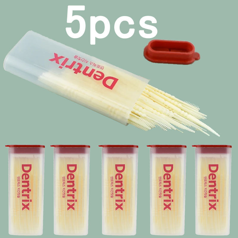 1 can/5 cans Double-Headed Flosser Toothpicks Interdental Brush Oral ...