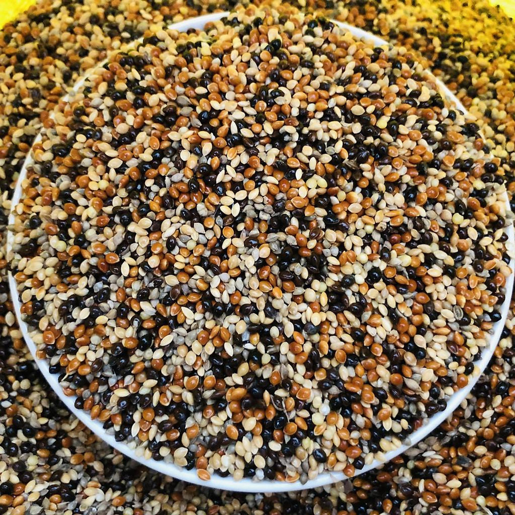 1kg Four-Colored Millet for Parrots Thai Grass for Parrots Thai Grass ...
