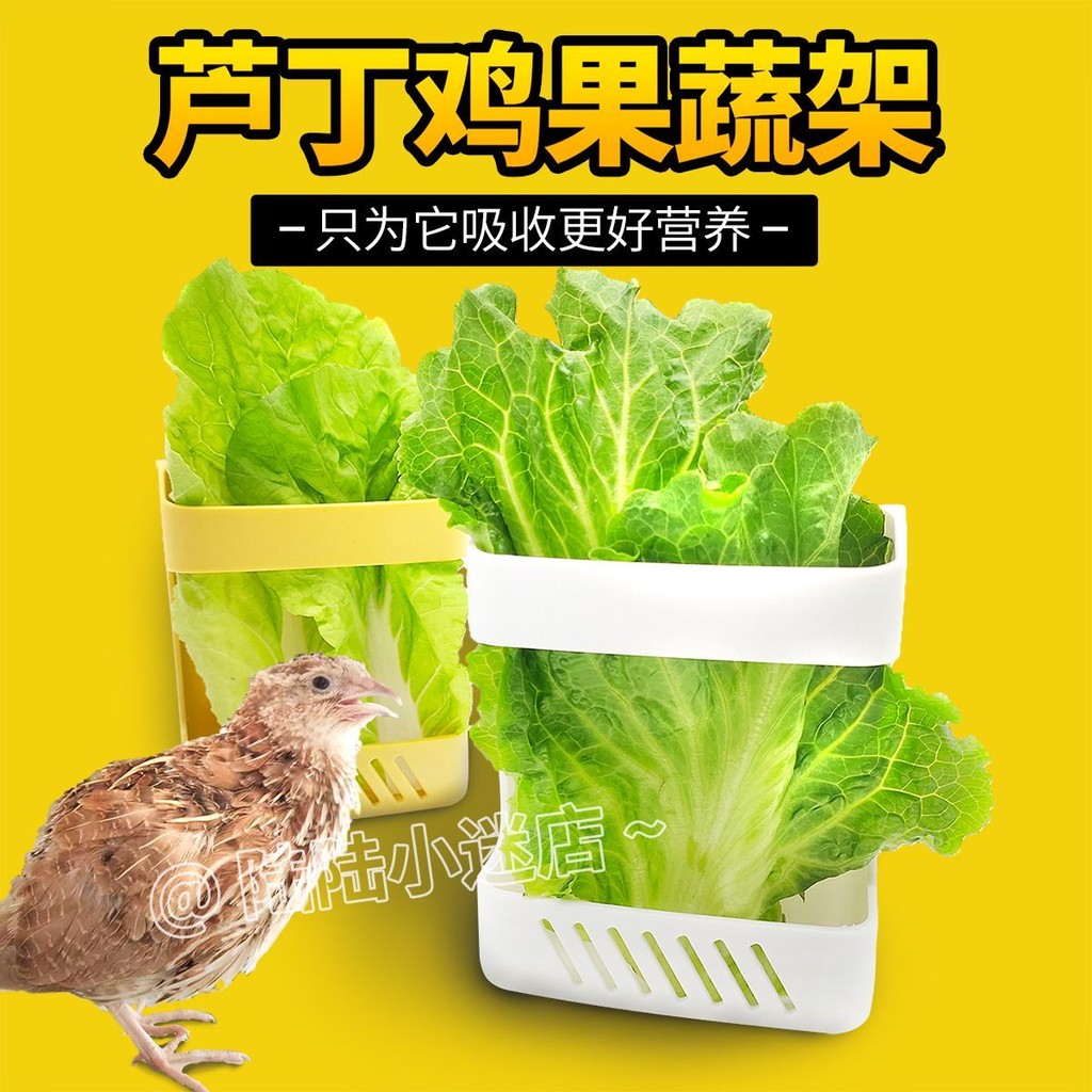 Vegetable Rack Luding Chicken Feeding Can Drinking Fountain Supplies ...