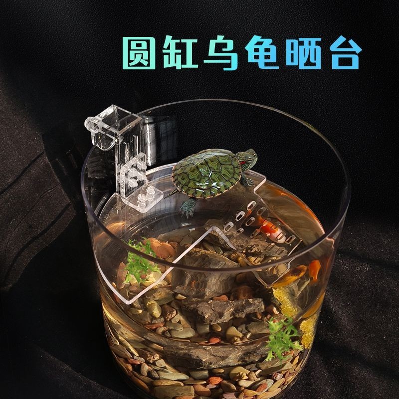 圆缸乌龟晒台圆形爬台晒背爬梯专用壁挂透明养龟造景摆件休息浮台Round cylinder turtle sun drying platform ...