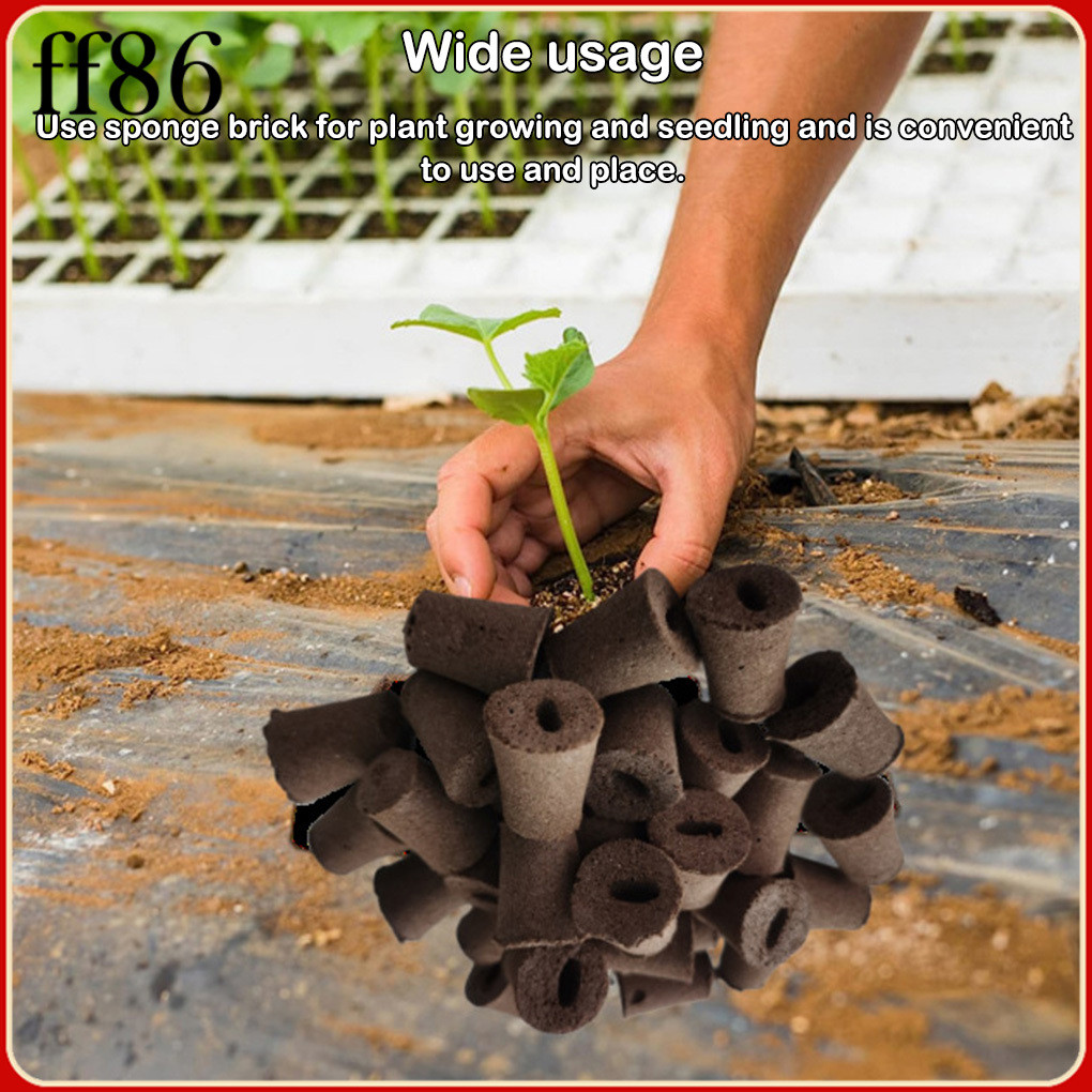 1/2 100 Pieces Home Portable Single Use Rooting Sponge Brick Seedling ...