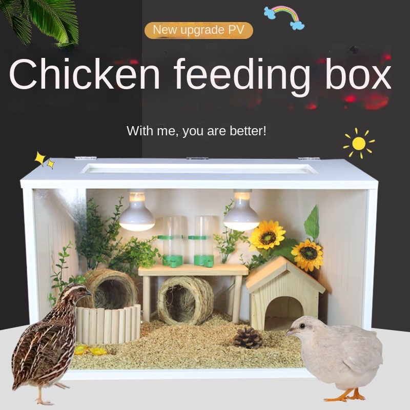 Spot goods Glass feeding box crawler feeding box Rutin chicken breeding ...