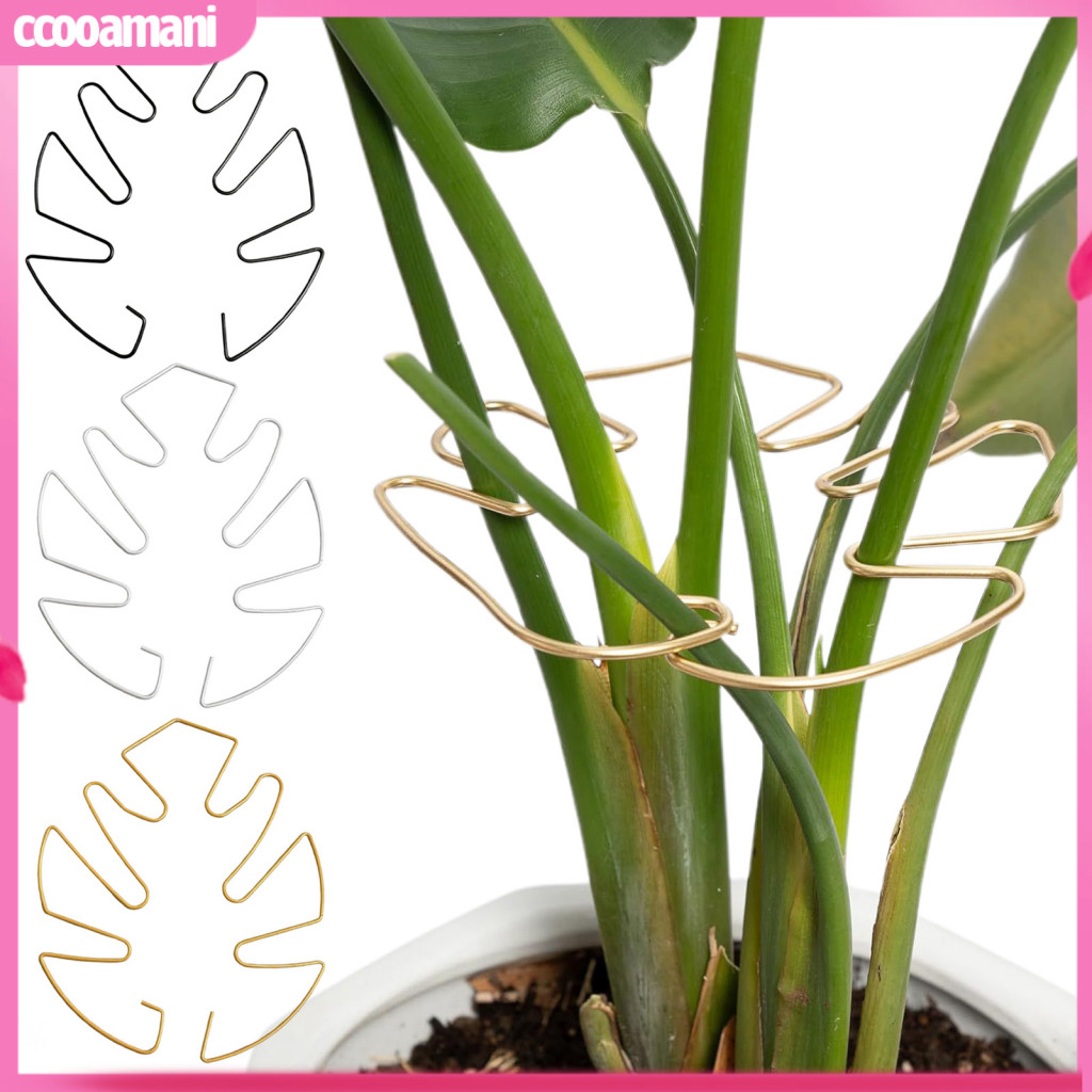 ccooamani| Metal Plant Stake Indoor Plant Holder Metal Monstera Plant ...