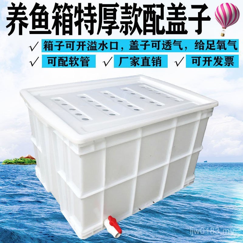 Water Tank Breeding Extra Large with Lid Drainage Valve Plastic ...