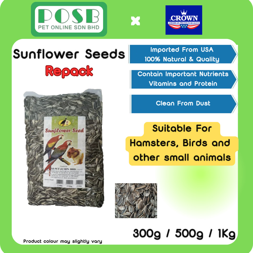 USA Premium Sunflower Seed / Kuaci / Biji Bunga Matahari 300g & 500g ...