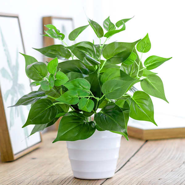 bunga hiasan office desk decoration pokok hiasan dalam rumah Pothos ...