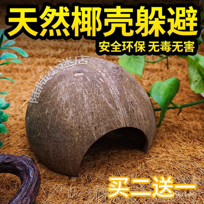 Natural Coconut Shell Hide Gecko Lizard Spider Snake Scorpion Hamster ...