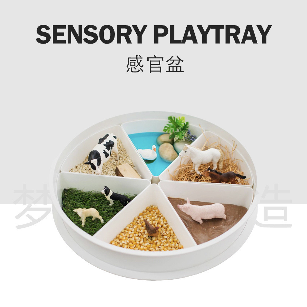 🪵 Dulang Sensori Kayu Montessori – Asas Pembelajaran DIY untuk Kanak ...