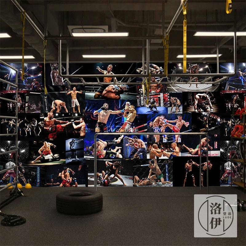 Sanda Fighting Fight Background Wallpaper for Club Martial Arts Gym ...
