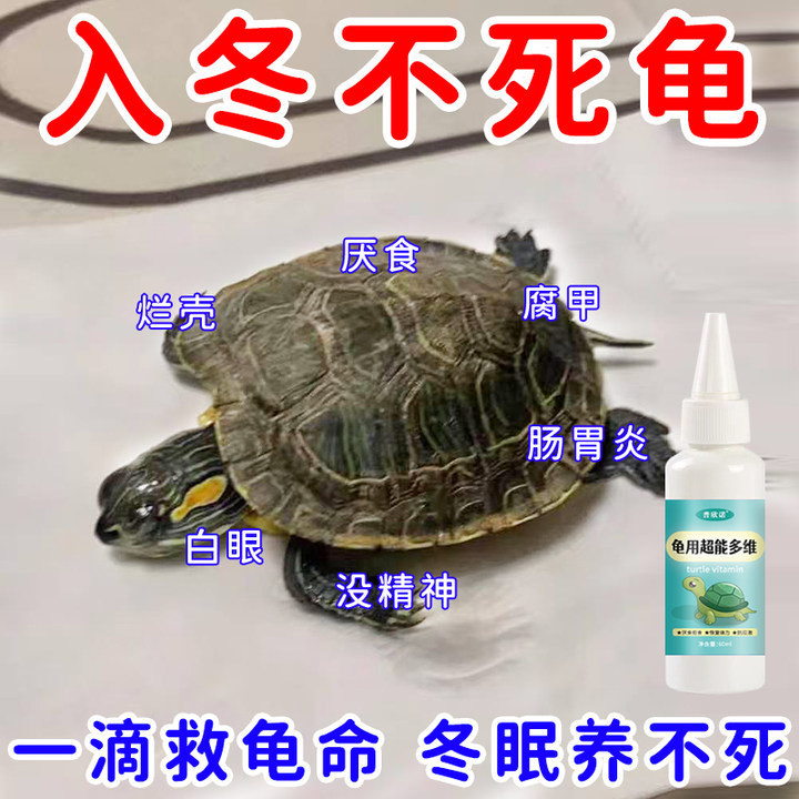 Turtles Use Electrolyzed Multi-Dimensional Anorexic Refuse Eating ...