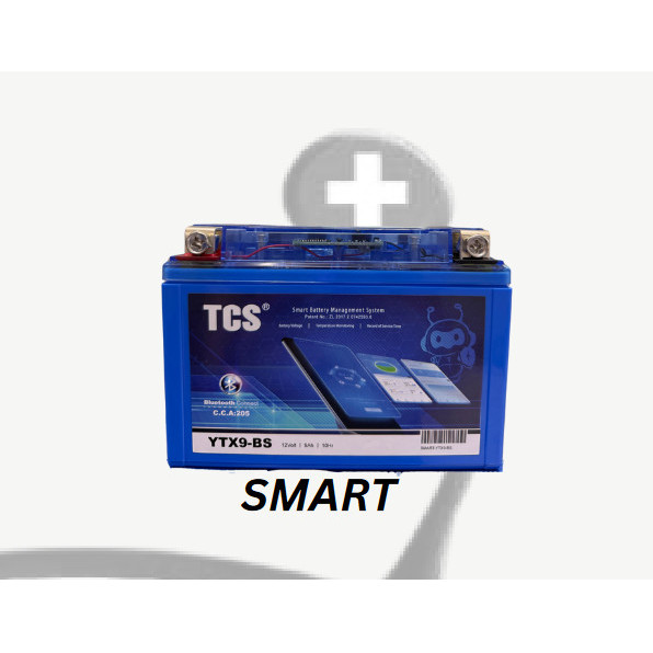 TCS SC64 CBX250 / NTV650 / CBR250 / R250 / NINJA 250 / ZZR / VTS200 ...