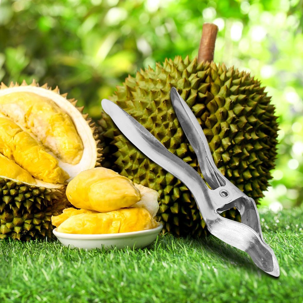 [uguuiya] Durian Peel Breaking Tool Durian Opener Manual Durian ...