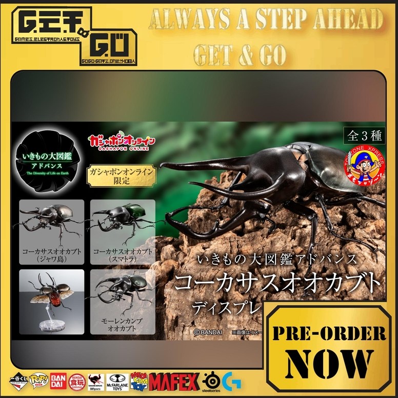 [Apr2025] Premium Bandai Capsule Toys Advance Three Horned Beetle ...
