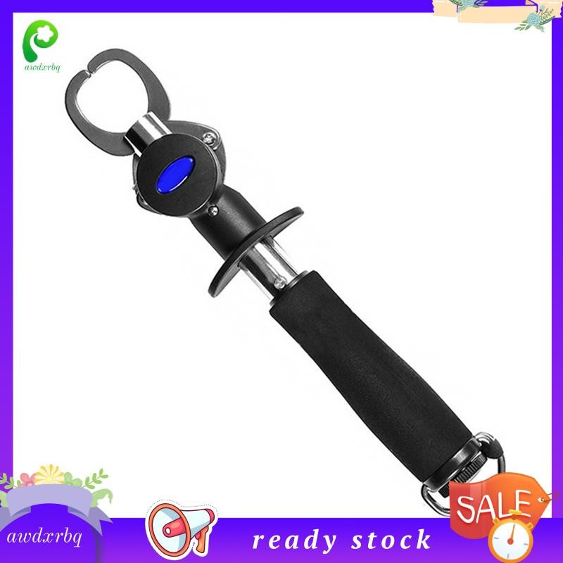 [awdxrbq] Stainless Steel Belt Weigher with Ruler Fish Controller, Fish ...