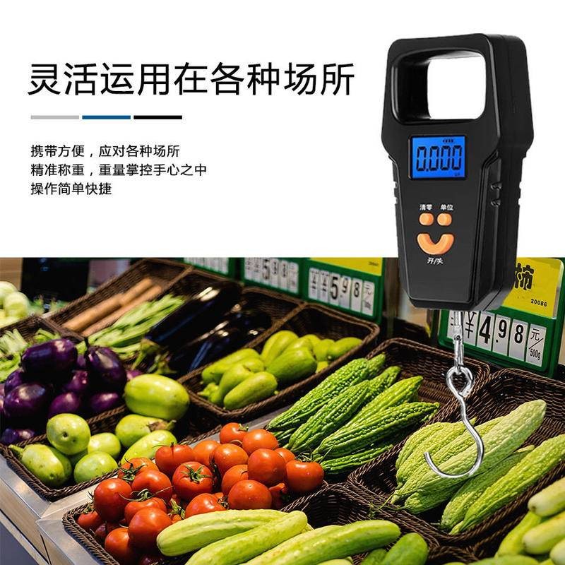 Portable Scale 50kg Electronic Scale Household Hook Precise Weighing ...