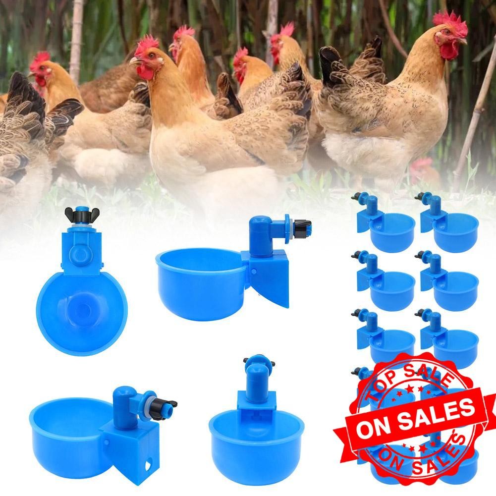 Chicken Quail Hanging Water Cups Chicken Drinker Automatic Poultry ...