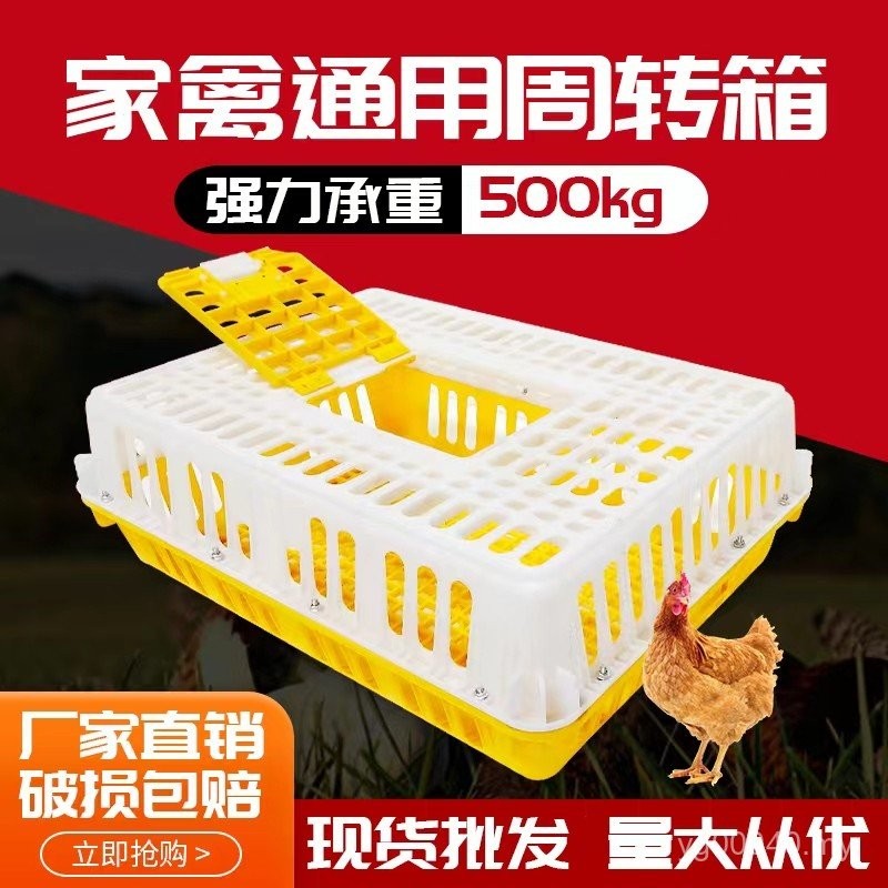Chicken Duck Goose Turnover Box Brand New Material Chicken Transport ...