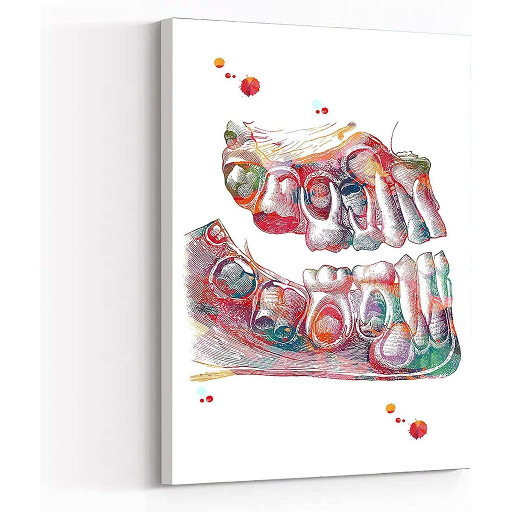 Science Wall DecorChildren Teeth Art Deciduous Teeth Watercolor Dental ...