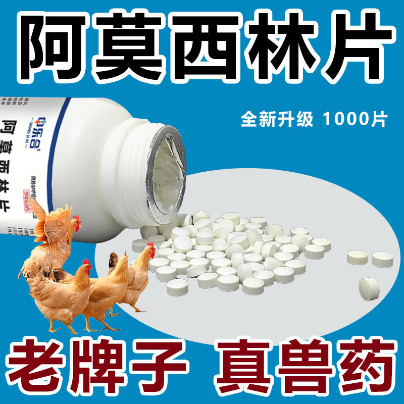 Shop Veterinal Amosilin Tablets Veterinal Medicine Chicken Duck Goose ...