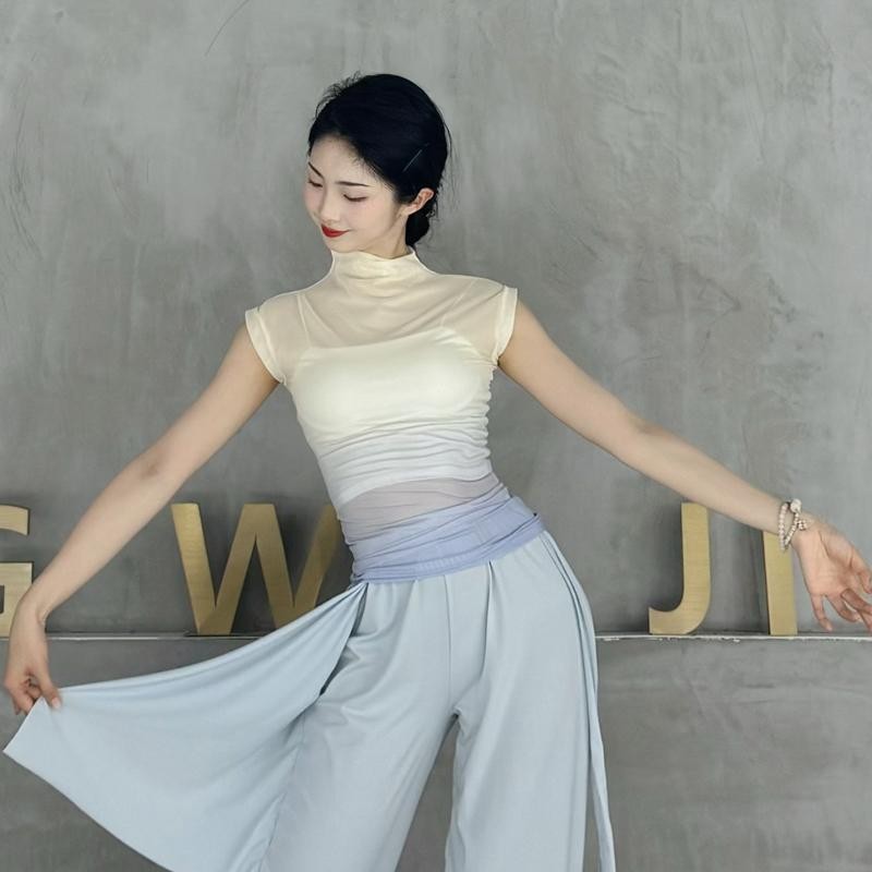 Classical Dance Gauze Top Ballet Body Practice Suit 2024 Dance Suit ...