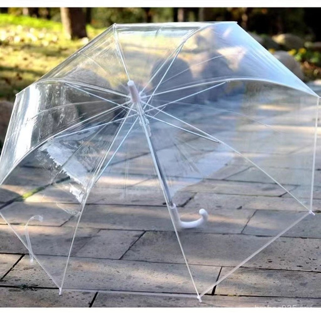 Transparent Transparent Umbrella Long Handle Manual Girls High ...