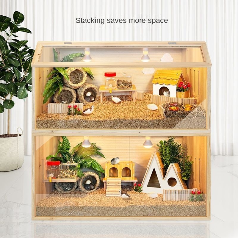 Spot goods Glass feeding box crawler feeding box Rutin chicken breeding ...