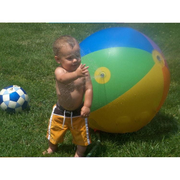 Two-fighting Water Fight Beach Ball Playing Water Grass Children ...