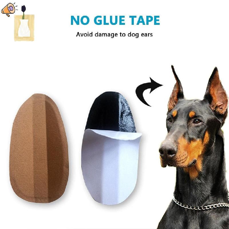 【YUE】Dog Ear Posting Kit Fixed Dog Ear Stand Up Tool Supports Vertical ...