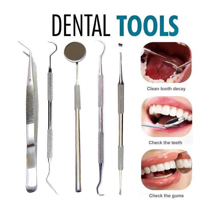 5 Pack Stainless Dental Tool Kit Dentist Teeth Clean Hygiene | Shopee ...