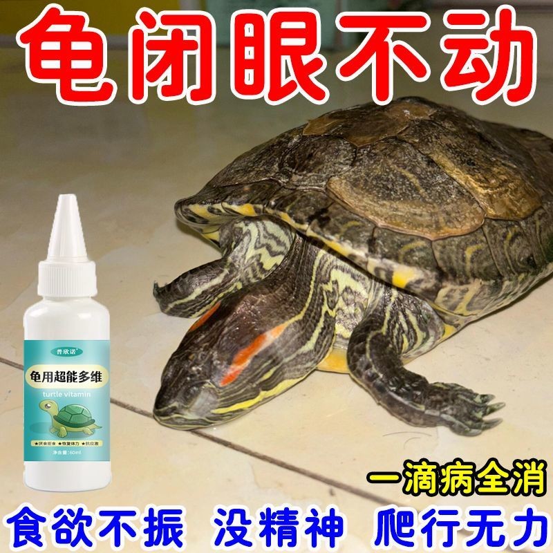 Turtles Use Electrolyzed Multi-Dimensional Anorexic Refuse Eating ...