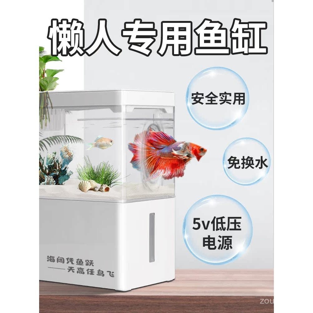Ssqg Tangki Ikan Betta Tangki Ekologi Tanpa Perubahan Air Tangki Ikan ...