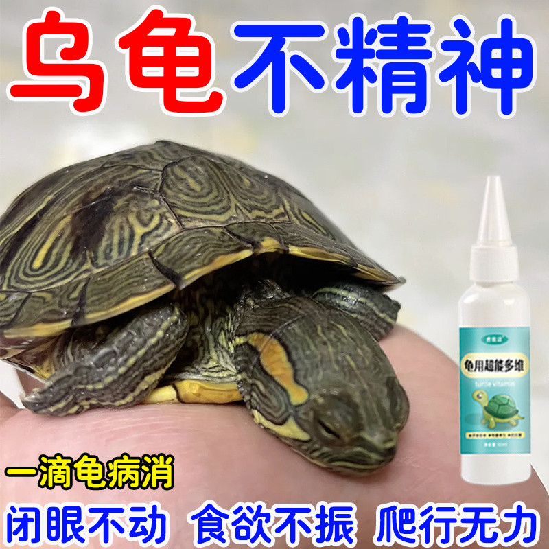 Turtles Use Electrolyzed Multi-Dimensional Anorexic Refuse Eating ...