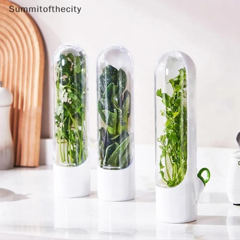 SUM Herb Saver Storage Container Fresh Herb Keeper Vanilla Vegetables ...