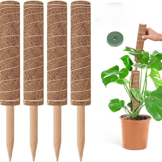 Shaping Rattan Climbing Back Bamboo Plant Fixed Column Stick Bracket ...