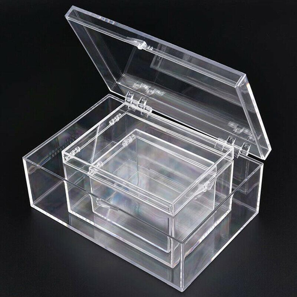 Clear Plastic Box Rectangular Insect Specimen Display Desktop Storage ...