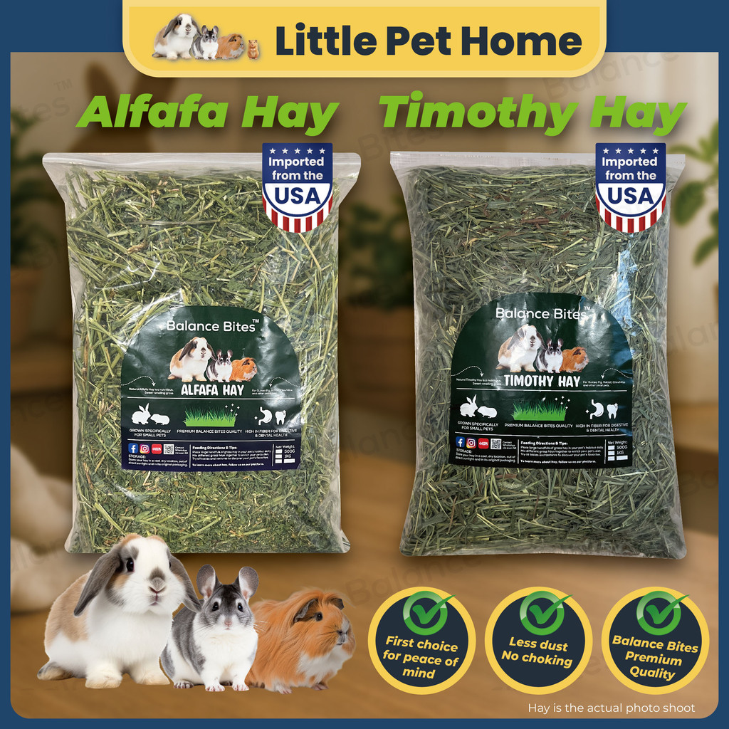 Balance Bites Premium Alfafa Hay Timothy Hay Orchard Hay USA 1KG ...