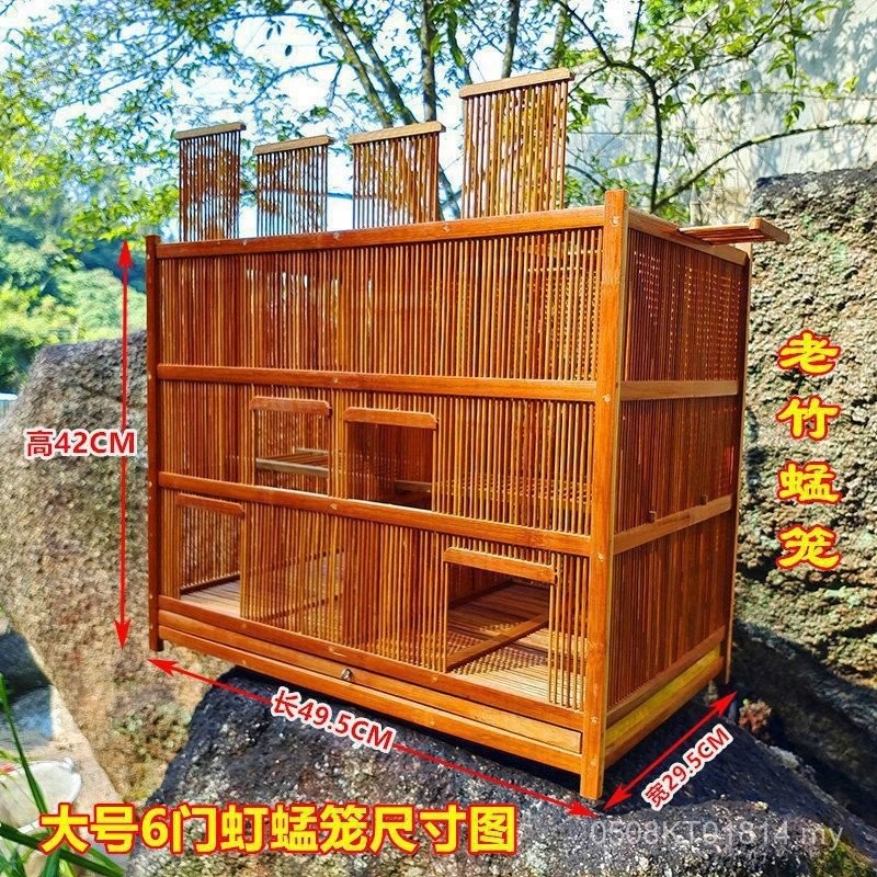 Grasshopper Cage Breeding Feeding Ants Cage Grasshopper Ding Ding Ding ...