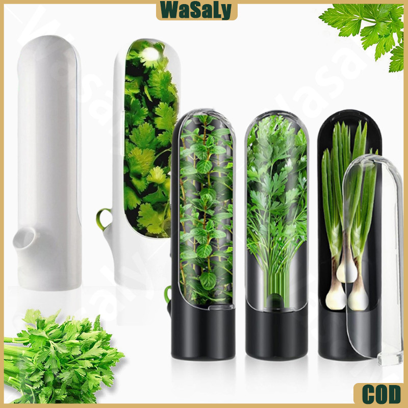 Vegetable Leaf Storage Container Herb Storage Basil Herb Keeper Cup ...