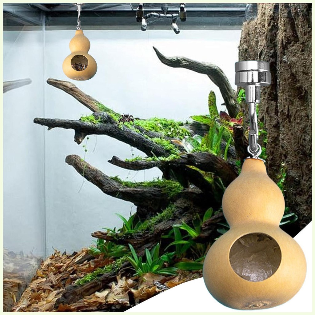 Jumping Spider Enclosure Jumping Spider Hiding Nest With Magnetism ...